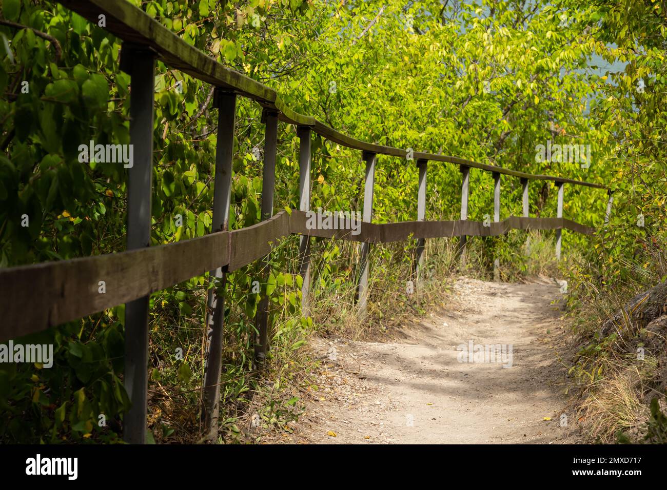 Long trail equipped with gravel steps and wooden handrail for tourists ...