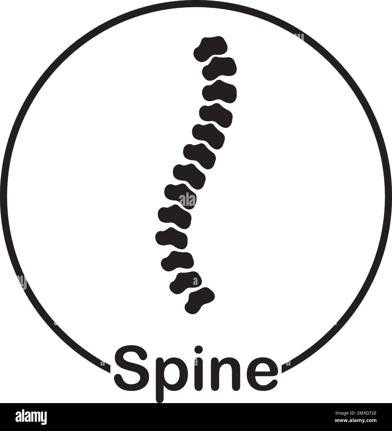 Spine Clipart Vector