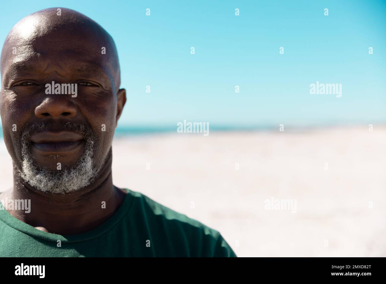 Close-up portrait of bald african american senior man spending leisure ...