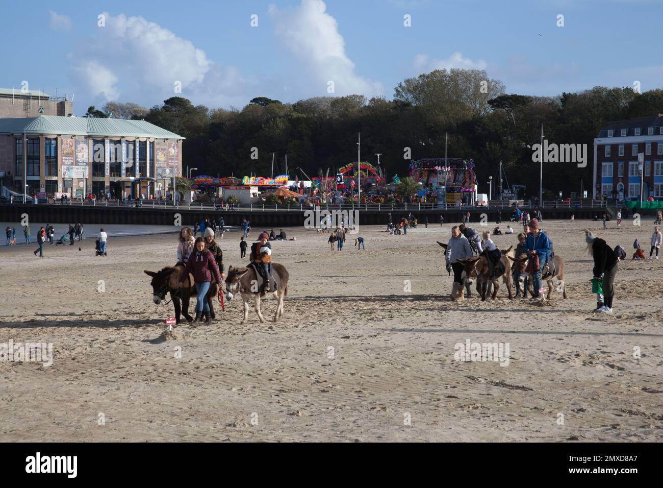 Weymouth donkey rides hi-res stock photography and images - Alamy
