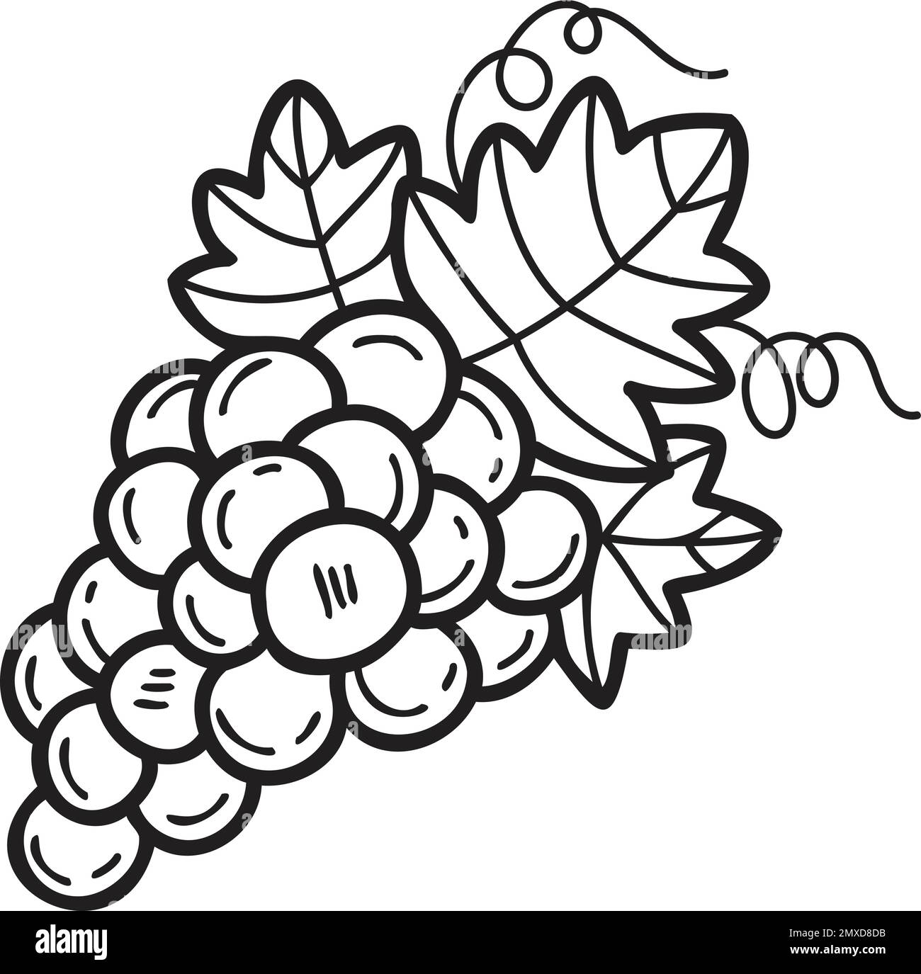 Hand Drawn grape illustration in doodle style isolated on background ...