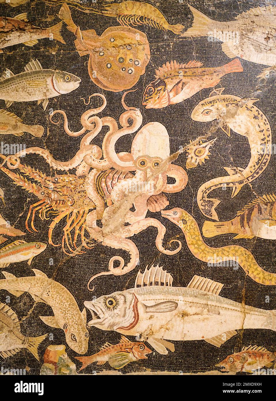 Artwork of various sealife, including fish, octopus, eels. An old tile ...