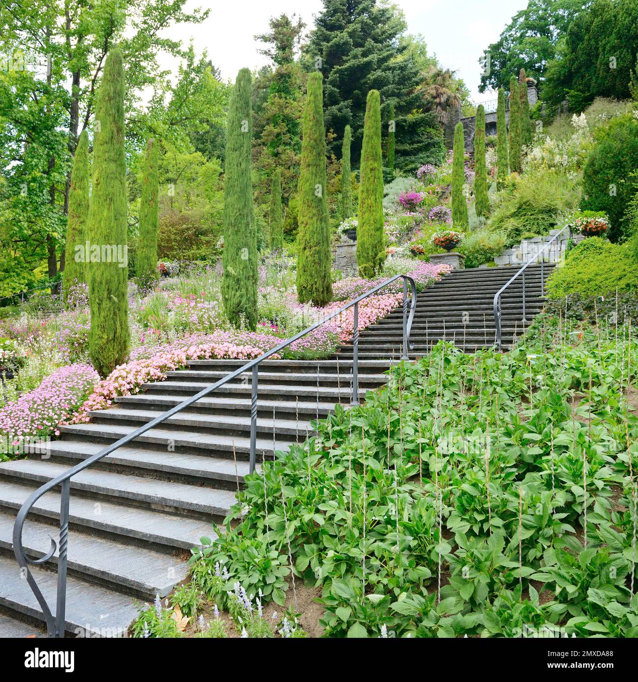 Staircase flower hi-res stock photography and images - Alamy