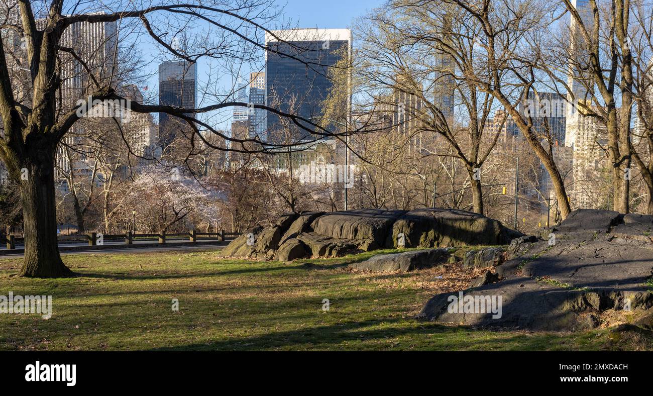 Spring in Central Park, New York City Stock Photo - Alamy