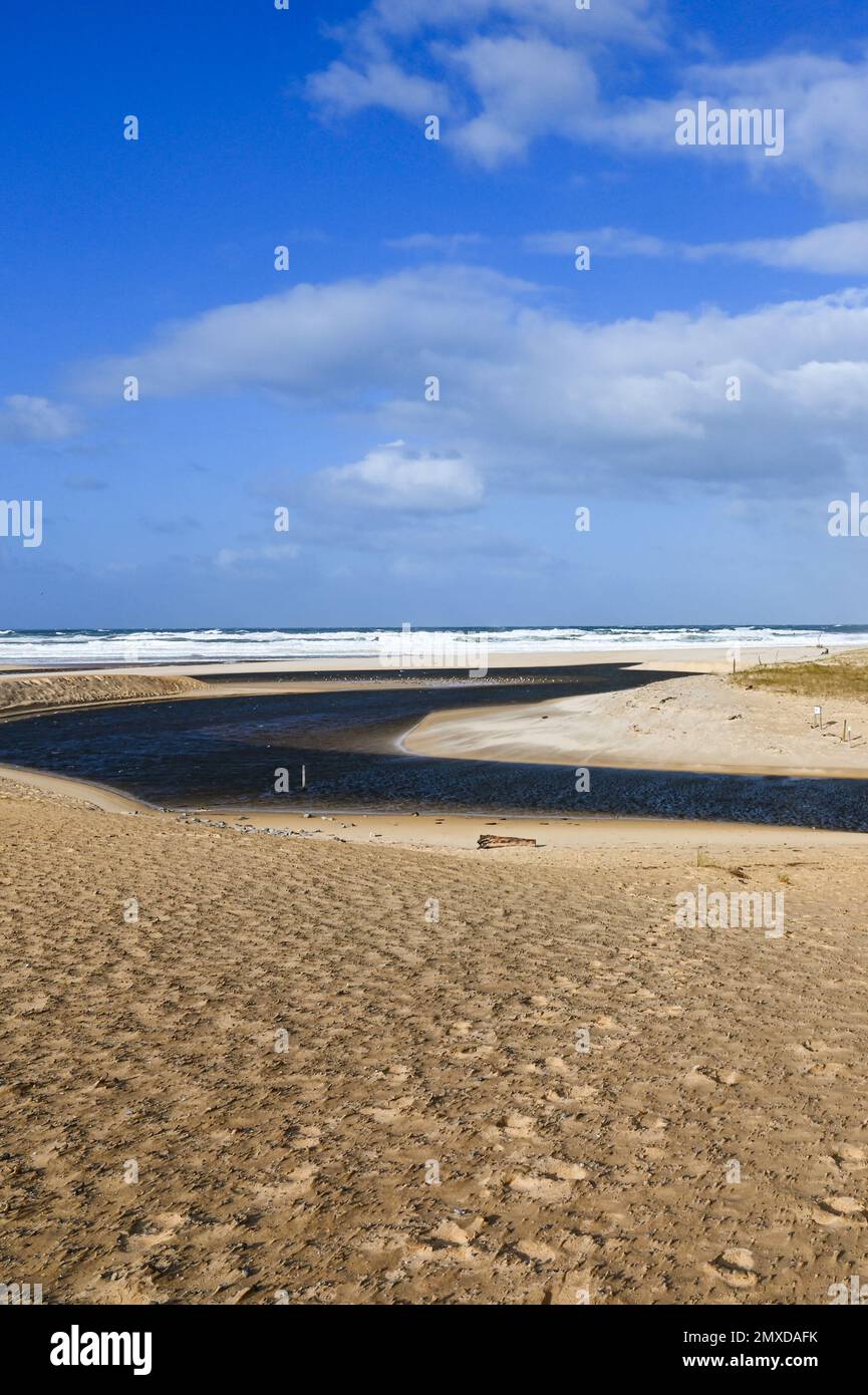 The Courant d'Huchet is a small coastal stream linking the lake of Léon ...