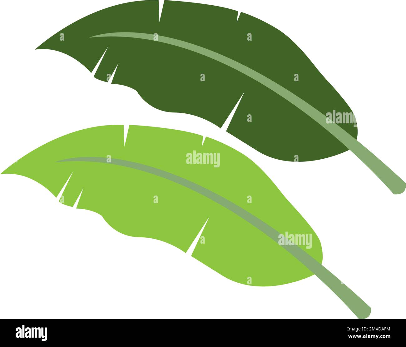 Banana Leaf Icon Stock Vector Illustration Logo Design Stock Vector
