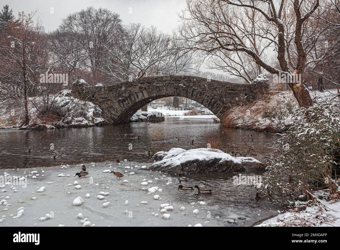 Gapstow Bridge in Central Park during snw storm Stock Photo - Alamy