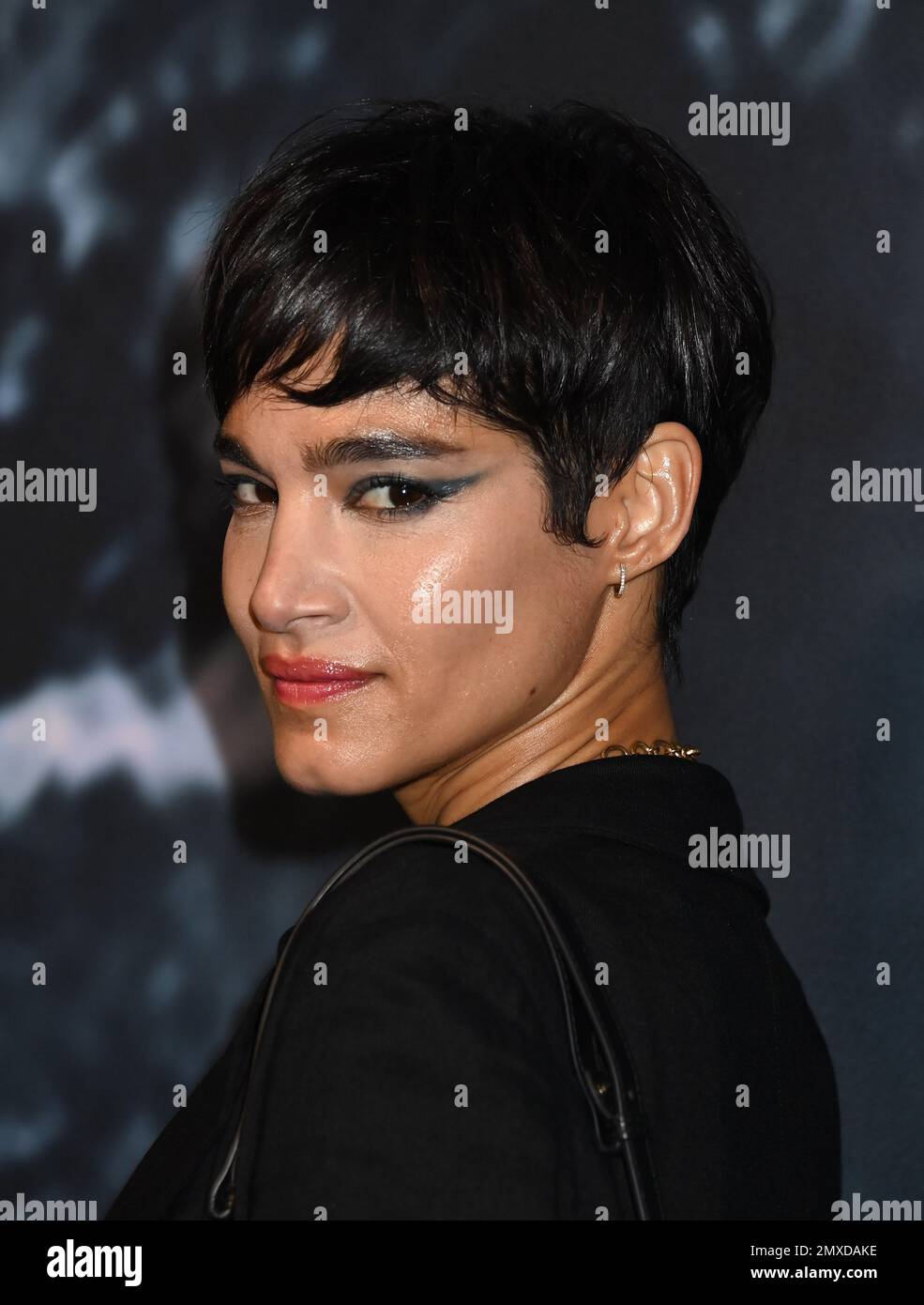 Los Angeles, CA. February 2, 2023 Sofia Boutella arriving at the Stella ...