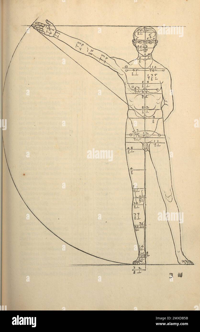 Illustration from the Four Books on Human Proportion. Museum: PRIVATE ...