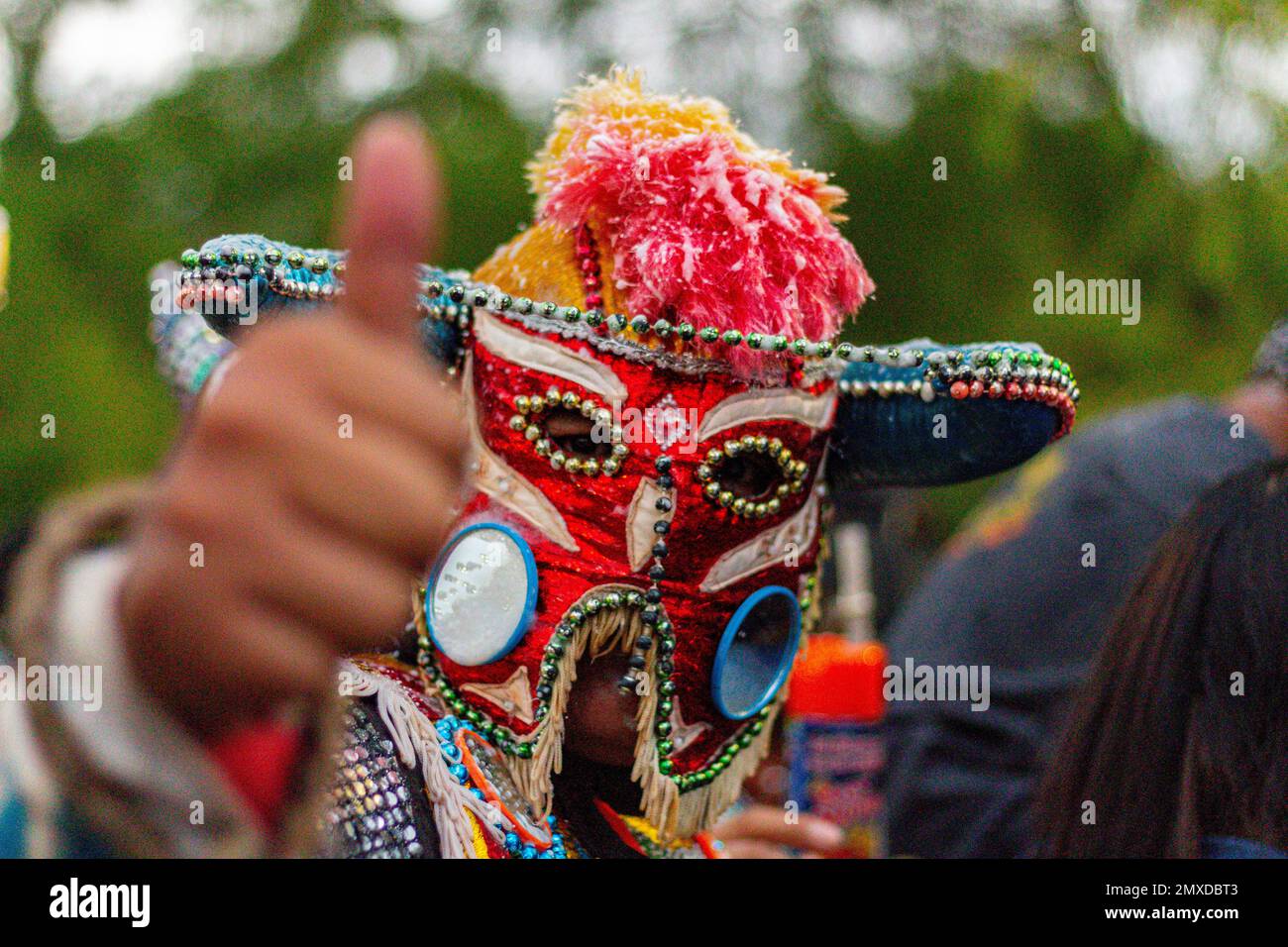 Devil carnival costume culture on Jujuy Stock Photo - Alamy