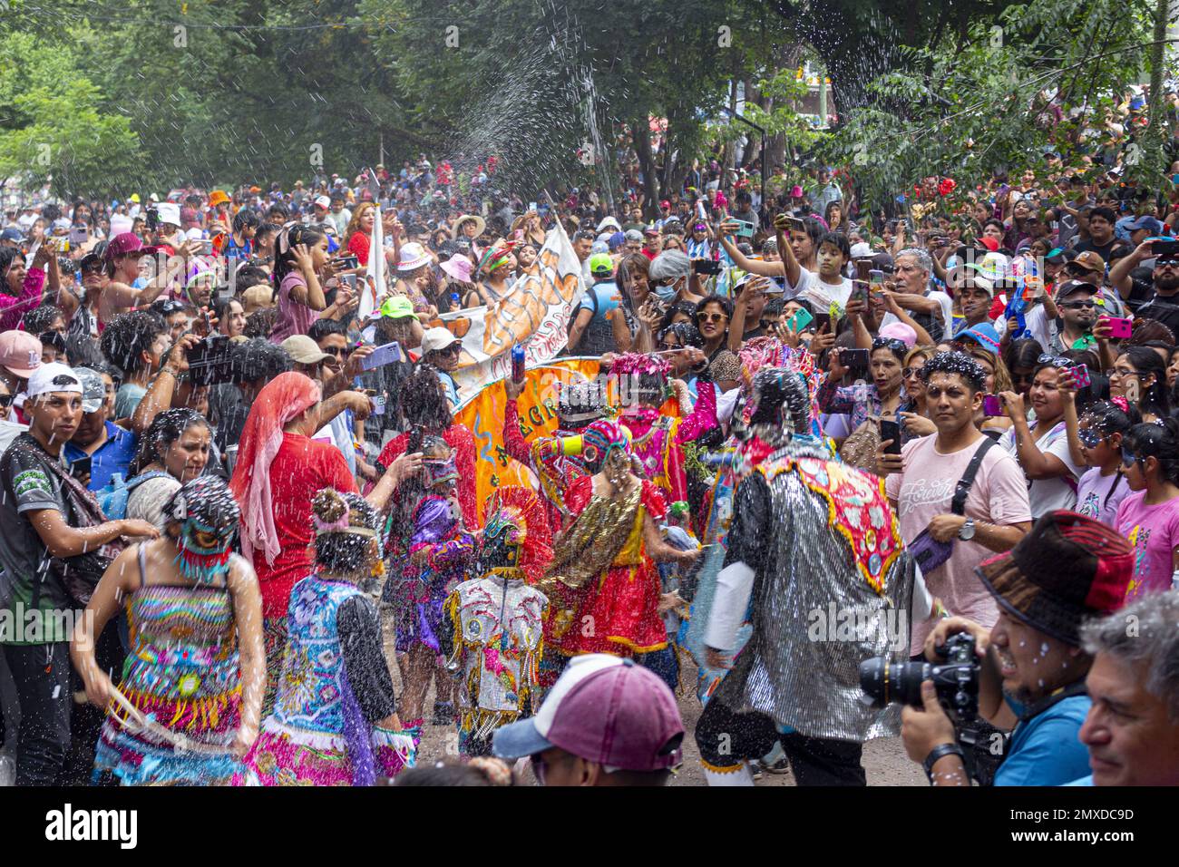 Devil carnival costume culture on Jujuy Stock Photo - Alamy