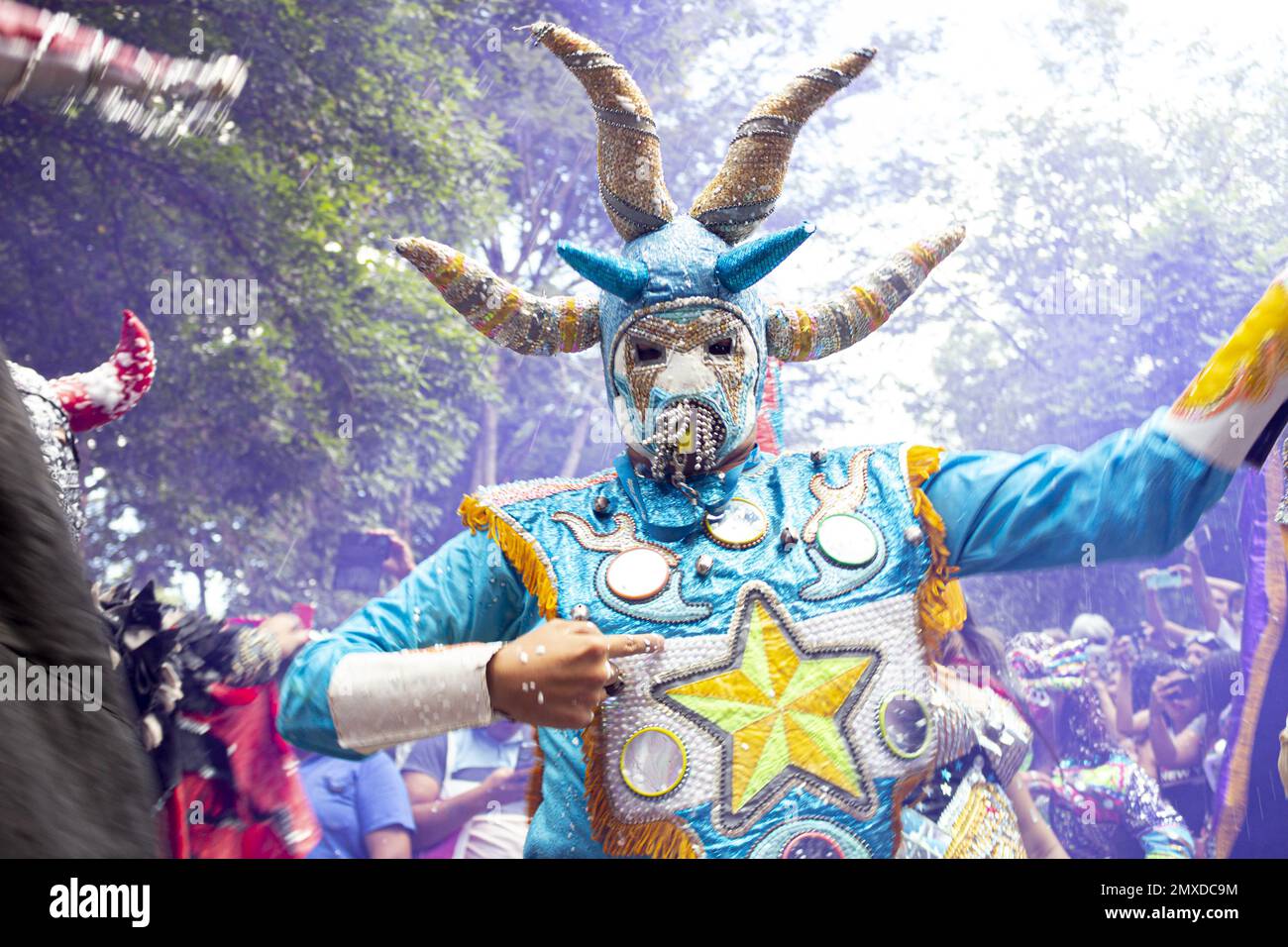 Devil carnival costume culture on Jujuy Stock Photo - Alamy