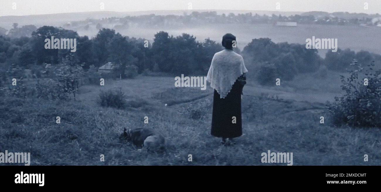 Scene from the film "Solaris" by Andrei Tarkovsky. Museum: PRIVATE ...