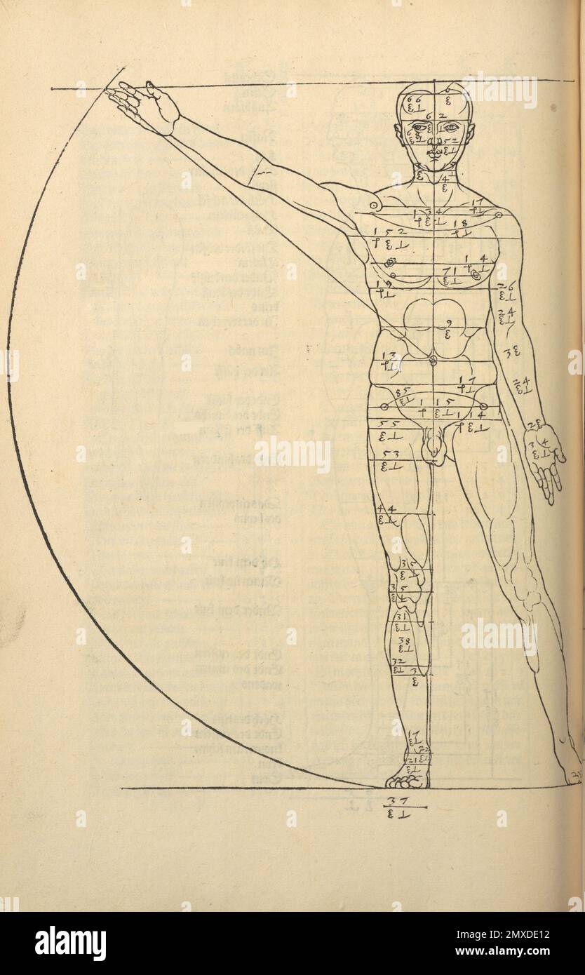Illustration from the Four Books on Human Proportion. Museum: PRIVATE ...