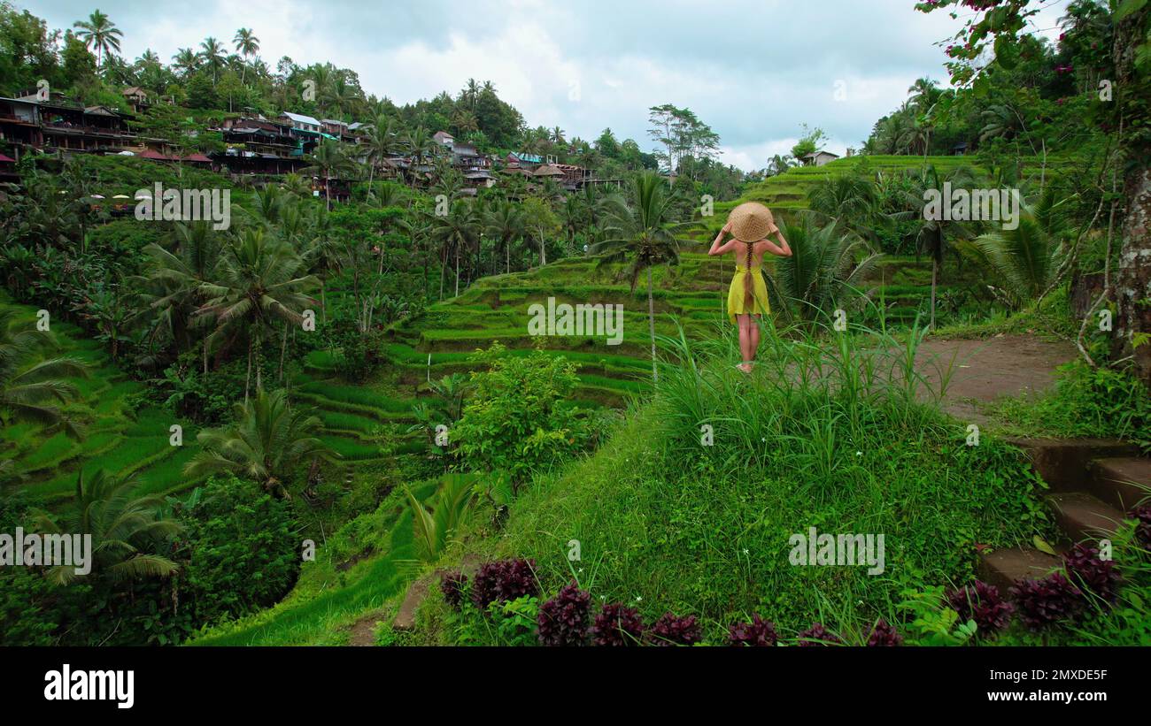 Travel woman in rice paddy with hat explores lush green rice terraces ...