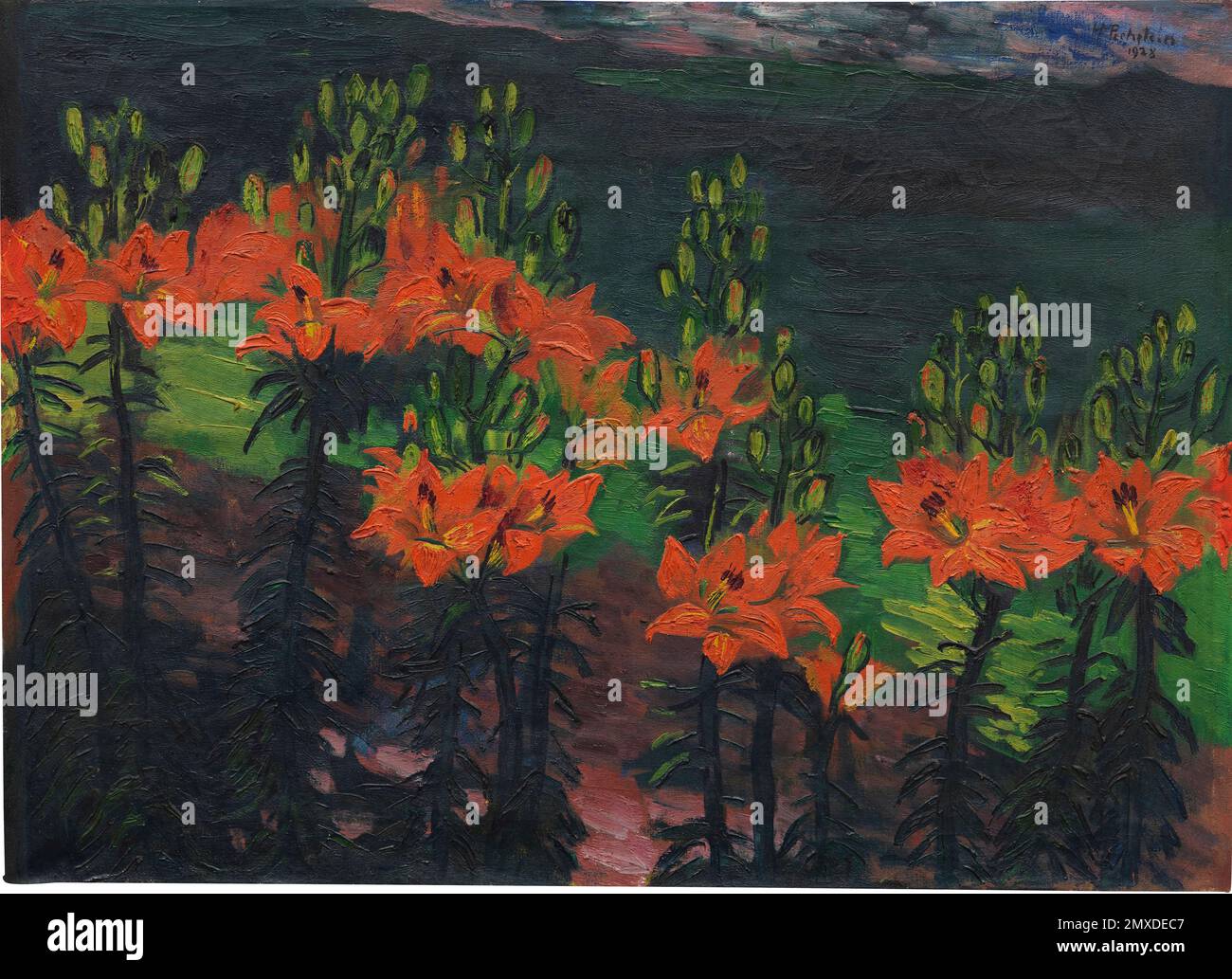 Fire lilies. Museum: PRIVATE COLLECTION. Author: Hermann Max Pechstein ...
