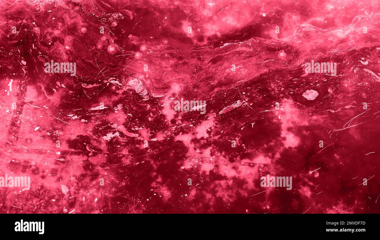 Viva magenta color abstract background. Color of the year 203 viva ...