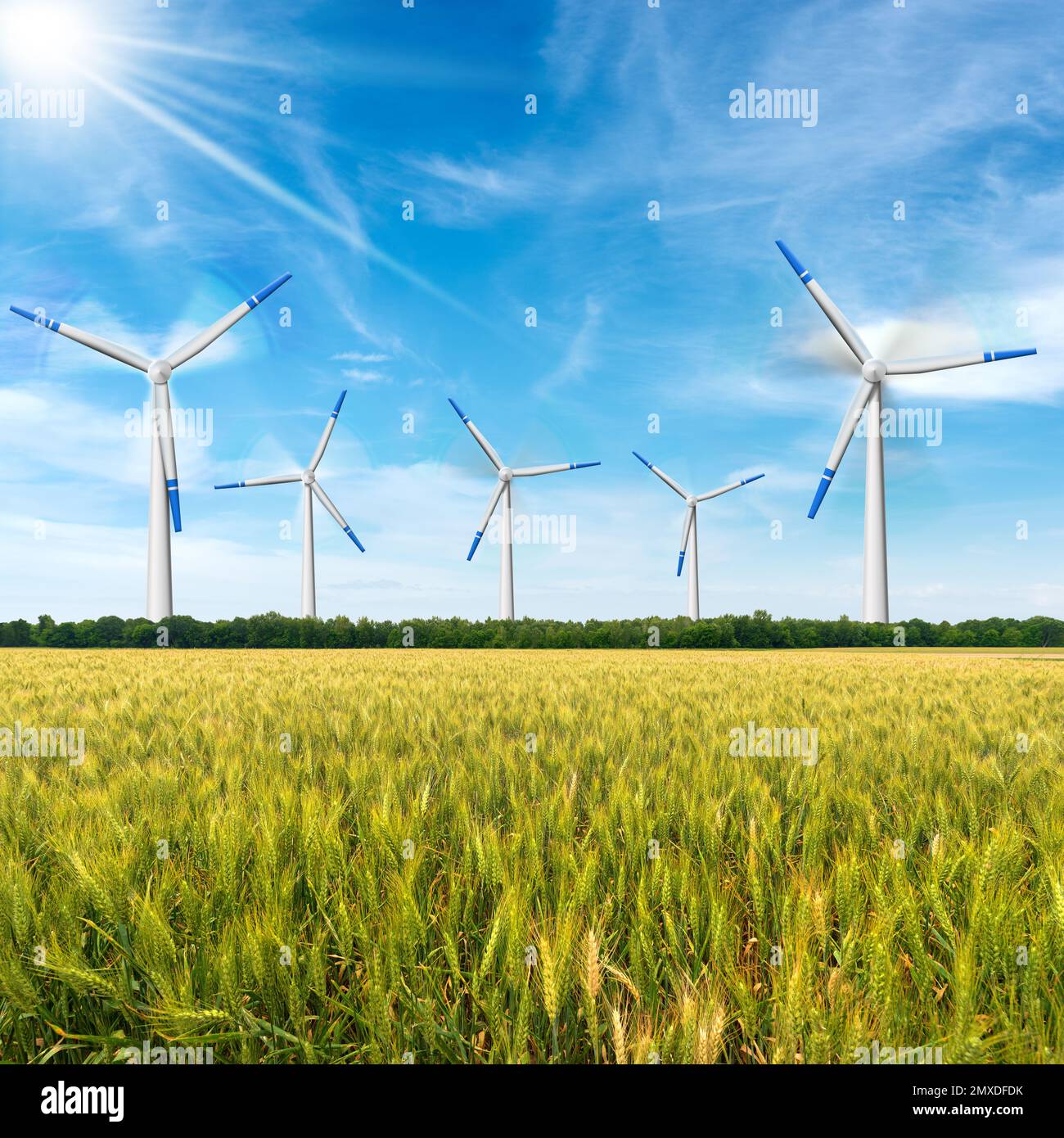 Group of wind turbines in a rural landscape with a green wheat field in ...