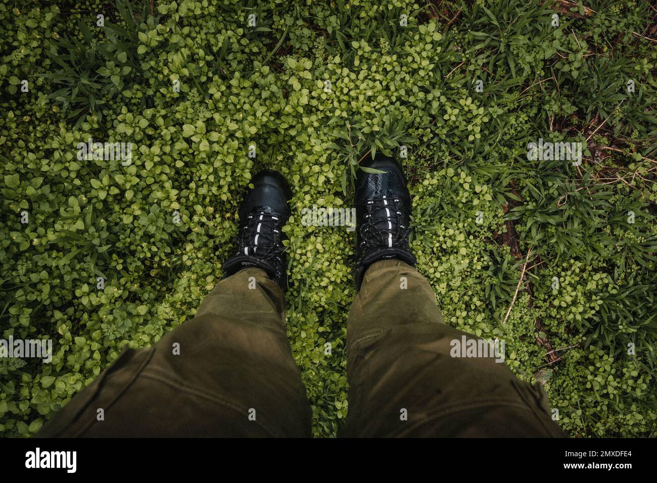 Shoos hi-res stock photography and images - Alamy