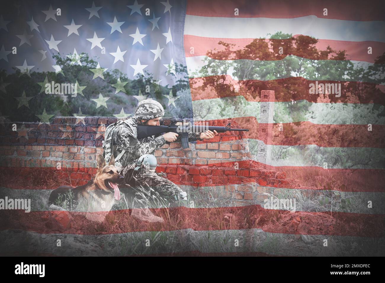 Double exposure of soldier with German shepherd dog and American flag ...