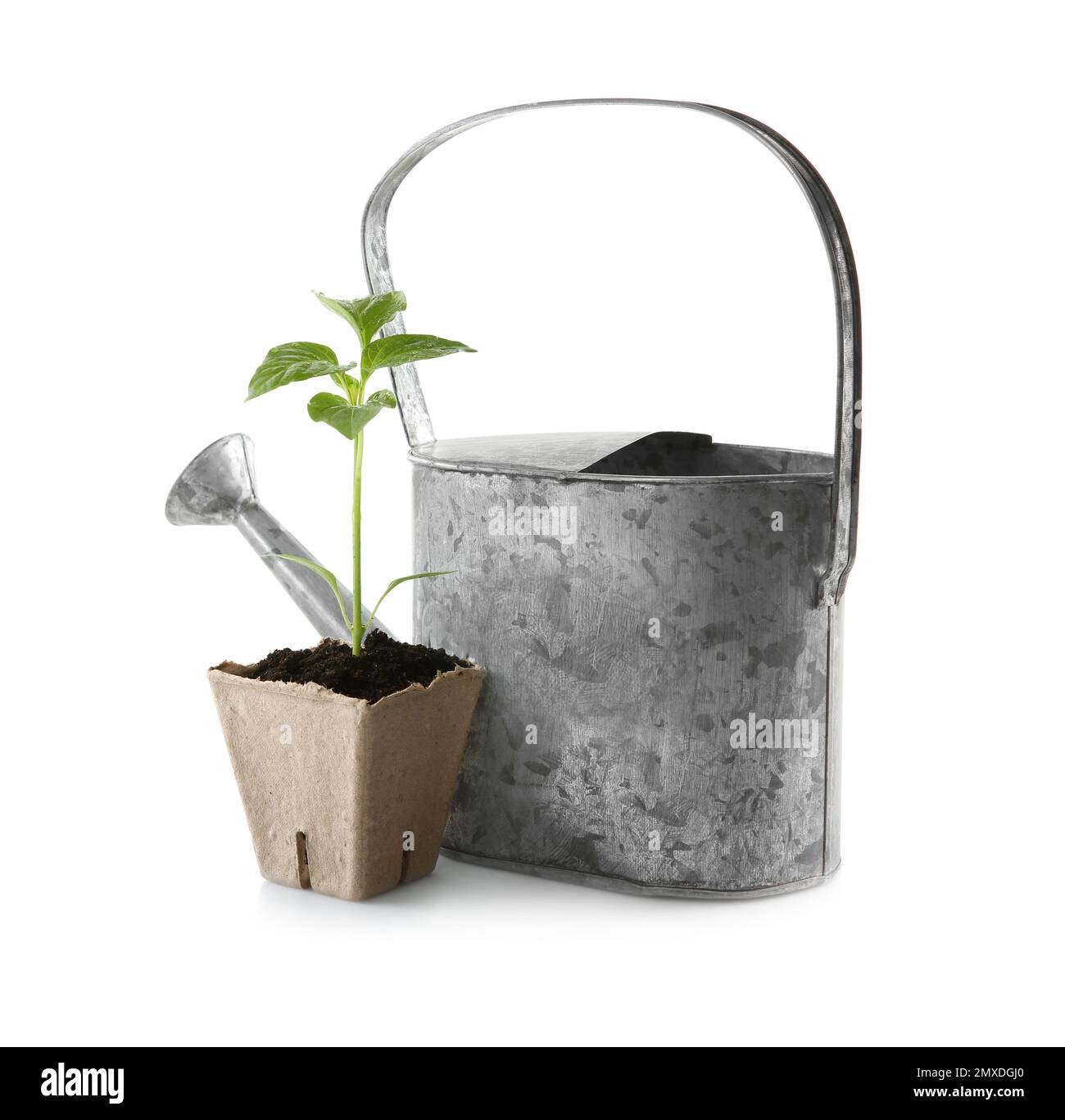 Seedling tool Cut Out Stock Images & Pictures - Alamy