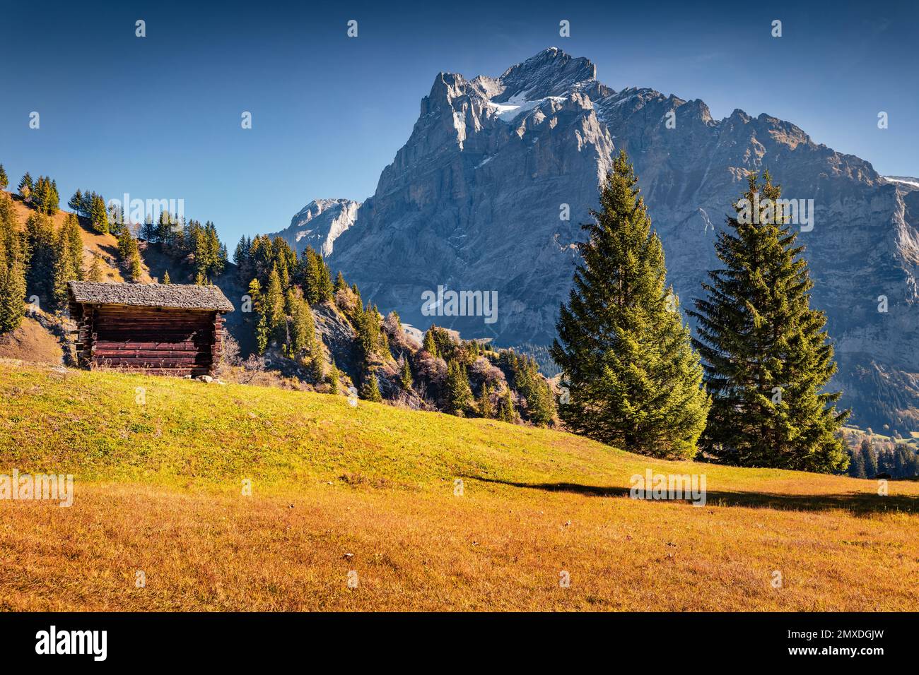 Sunny autumn scene of Grindelwald village valley. Majestic morning view ...