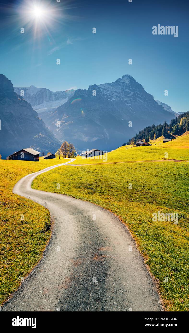 Wonderful summer view of Grindelwald village valley with old country ...