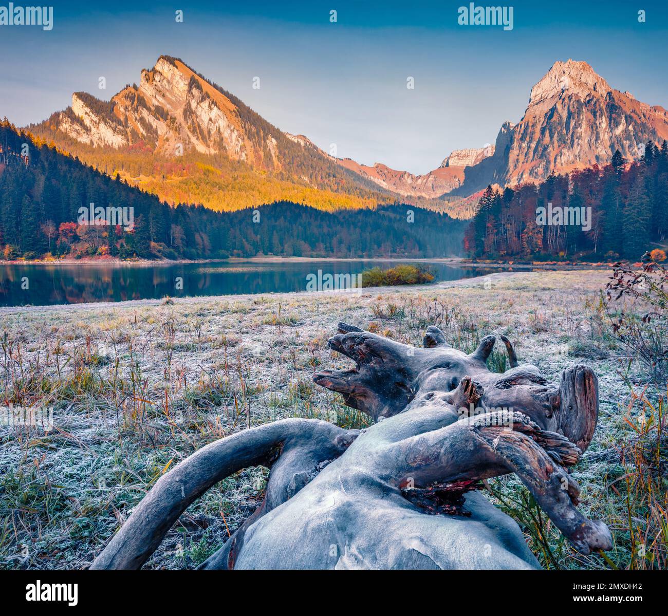 Root peak hi-res stock photography and images - Alamy