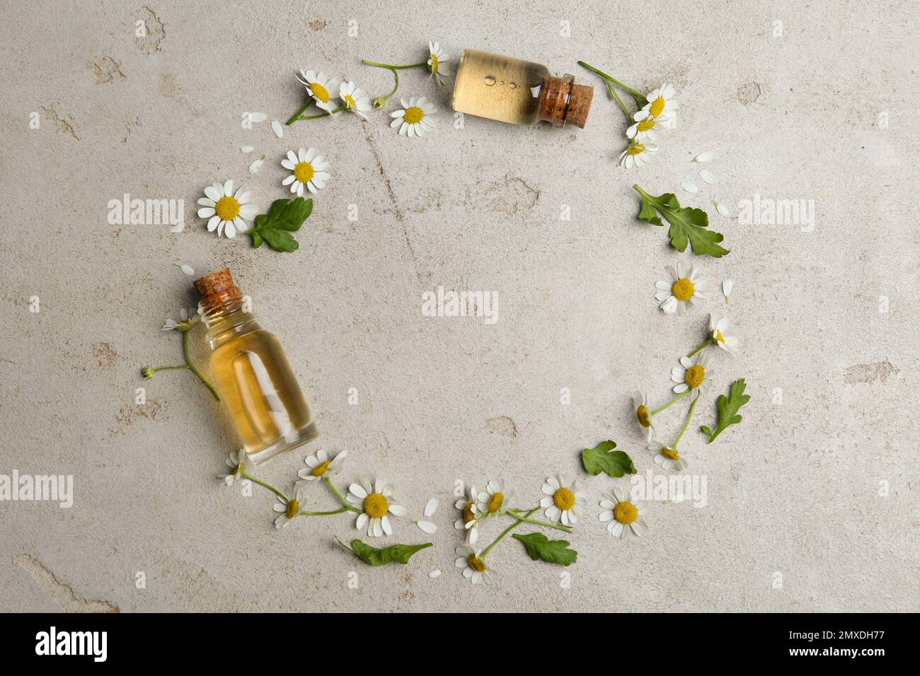 Frame made with bottles of essential oil and chamomiles on light grey ...