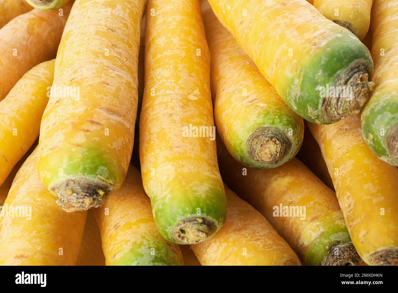 Growing yellow carrot hi-res stock photography and images - Alamy