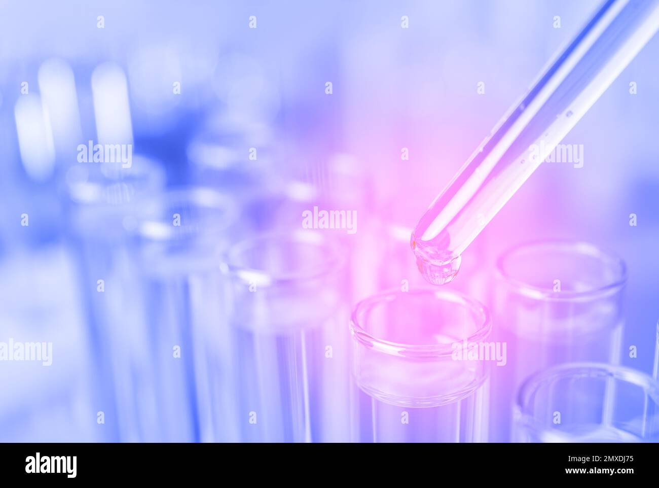 Dripping liquid into test tube, closeup. Laboratory analysis Stock ...