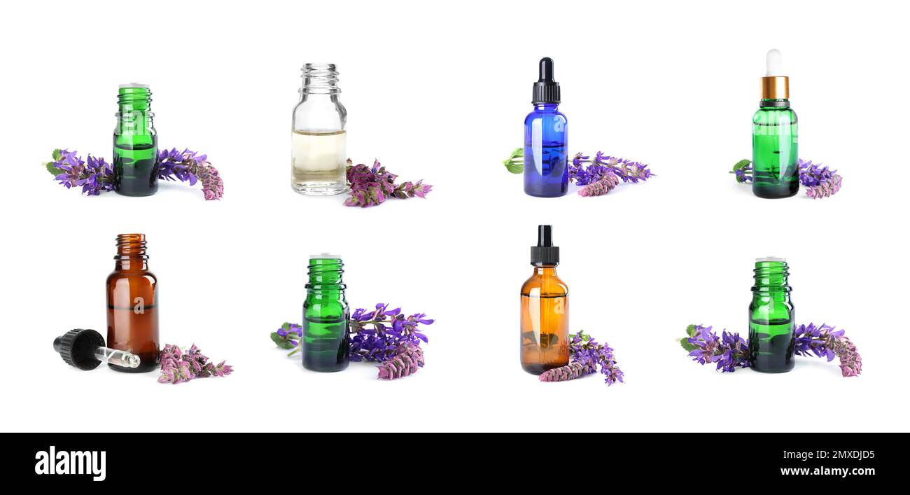 Set with bottles of essential oils and fresh sage flowers on white ...