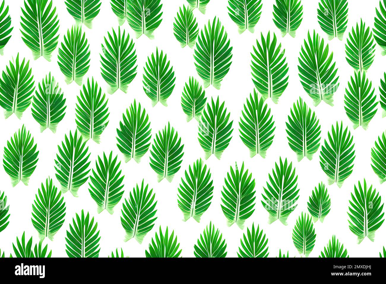 fresh green palm leaf pattern background Stock Photo - Alamy