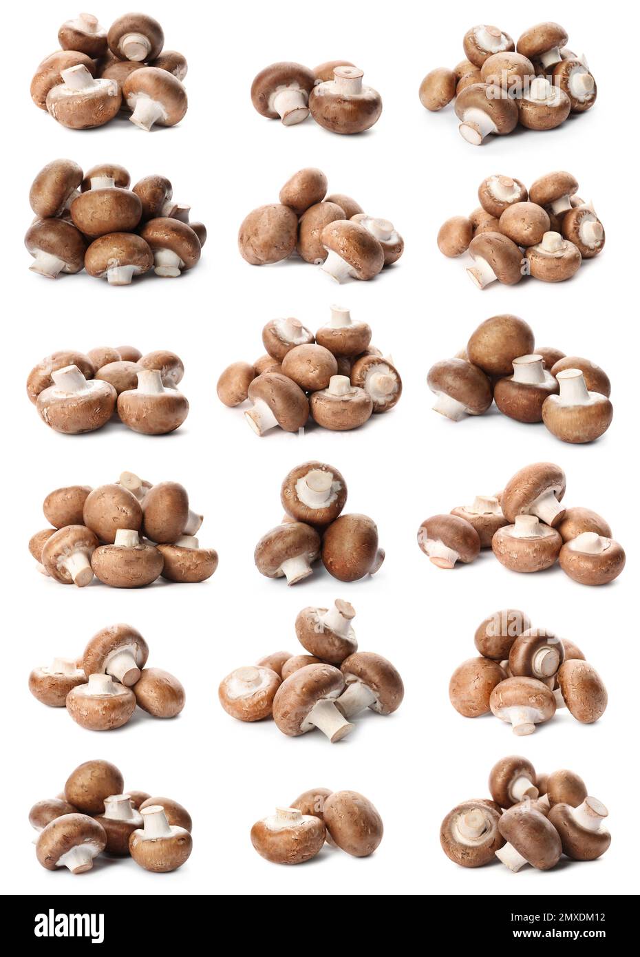 Champignon texture hi-res stock photography and images - Alamy