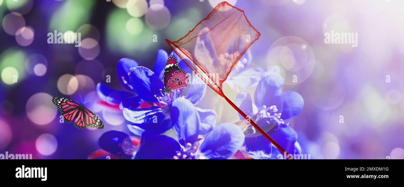 Bright net and fragile monarch butterflies in flower garden. Banner ...