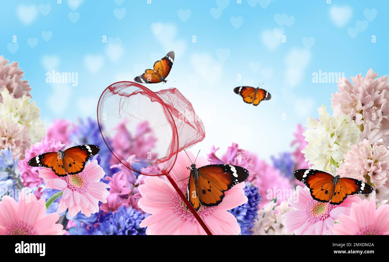 Bright net and fragile monarch butterflies in flower garden Stock Photo ...
