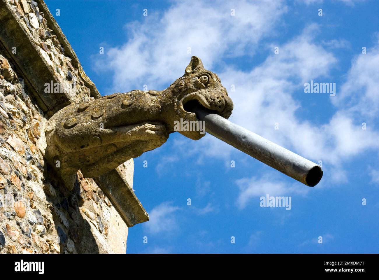 Gargoyle Saint Peter's Church, Theberton Stock Photo - Alamy