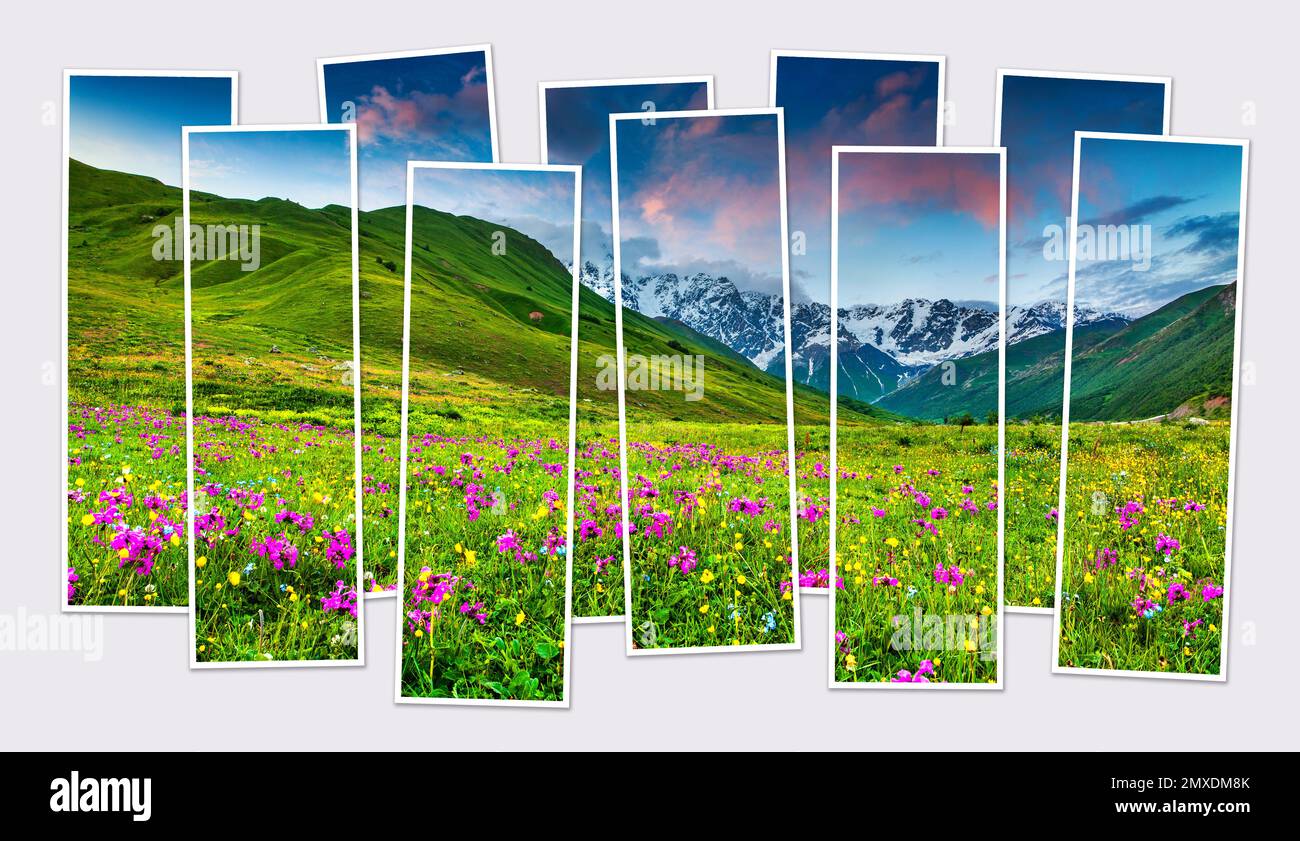 Isolated ten frames collage of picture of alpine meadows in Caucasus ...