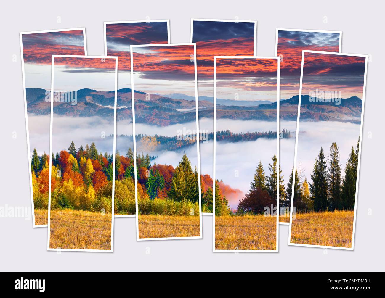 Isolated eight frames collage of picture of amazing autumn sunrise in ...