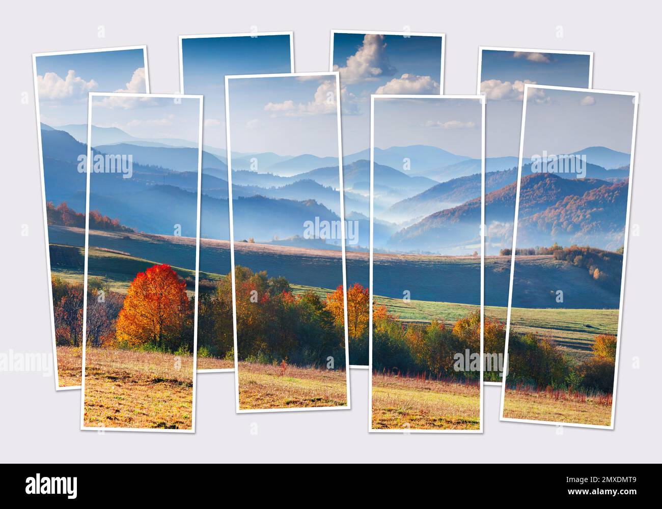 Isolated eight frames collage of picture of amazing autumn scene of ...
