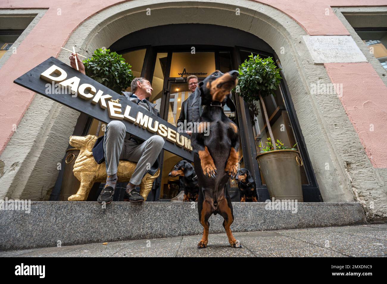 Regensburg, Germany. 03rd Feb, 2023. Seppi Küblbeck (l) and Oliver ...