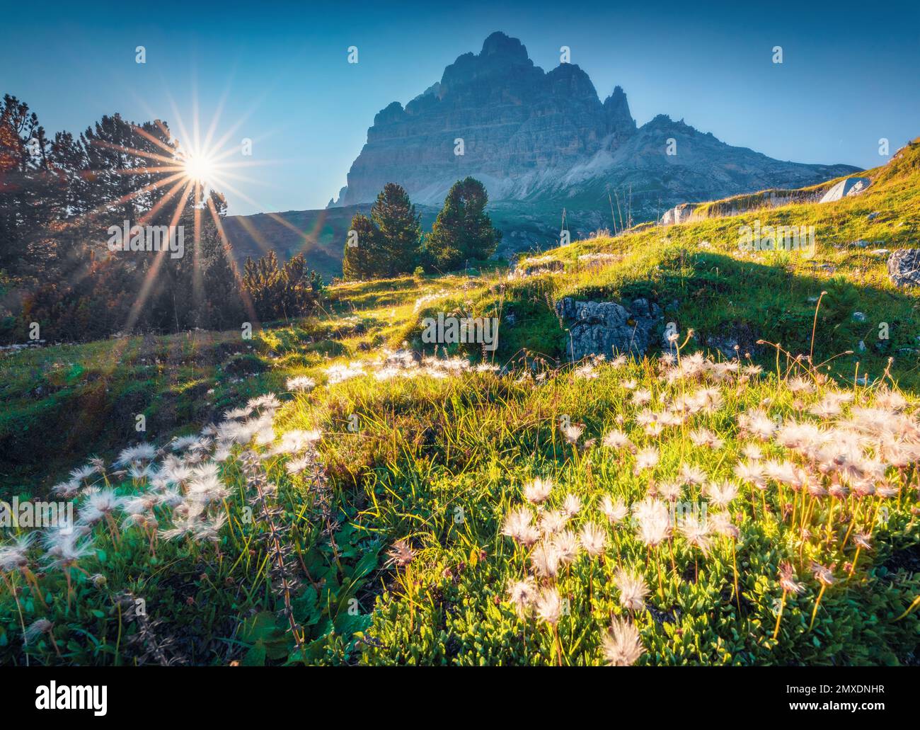 Beautiful summer scenery. Adorable morning view of western slope of Tre ...