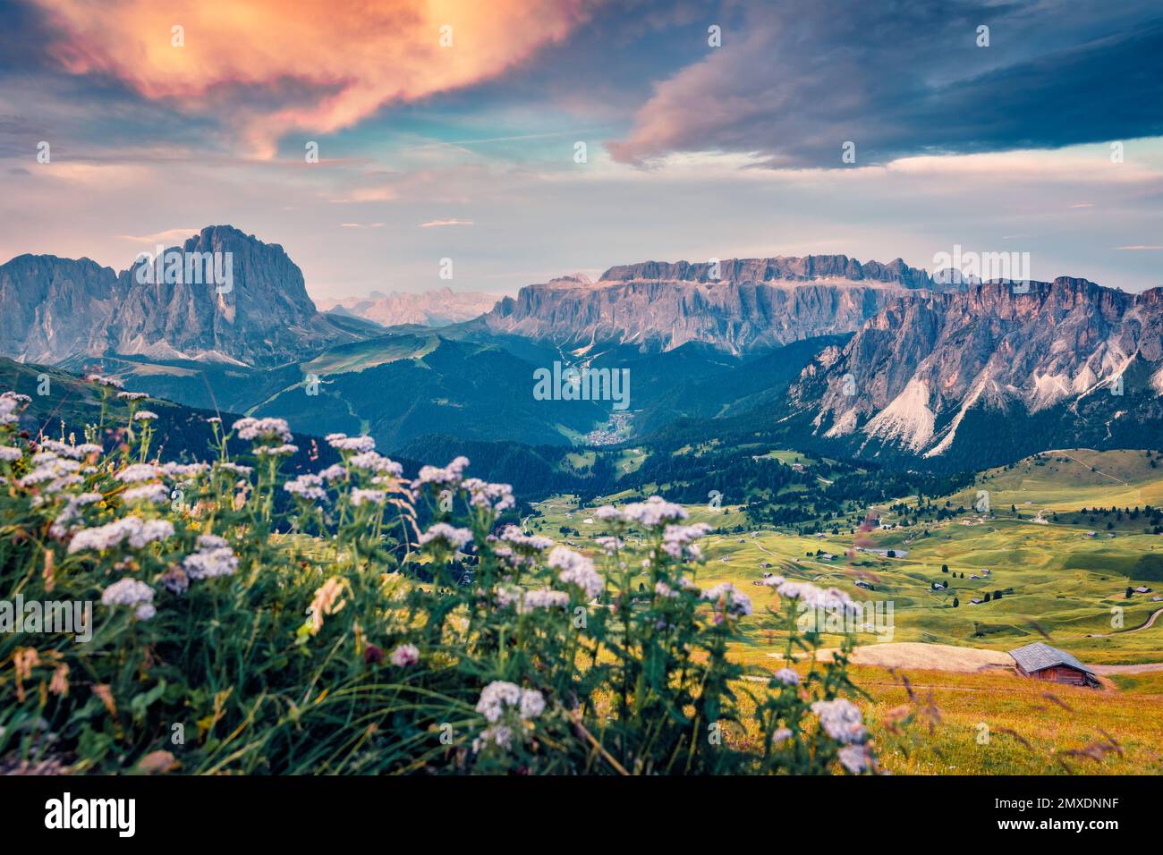 Beautiful summer scenery. Exciting sunrise with Sassolungo and Sella ...