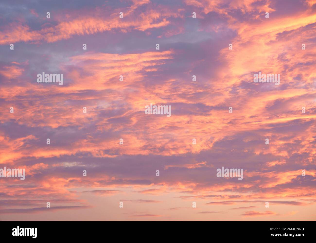 beautiful twilight sky golden hour sunset and cloud with purple violet ...
