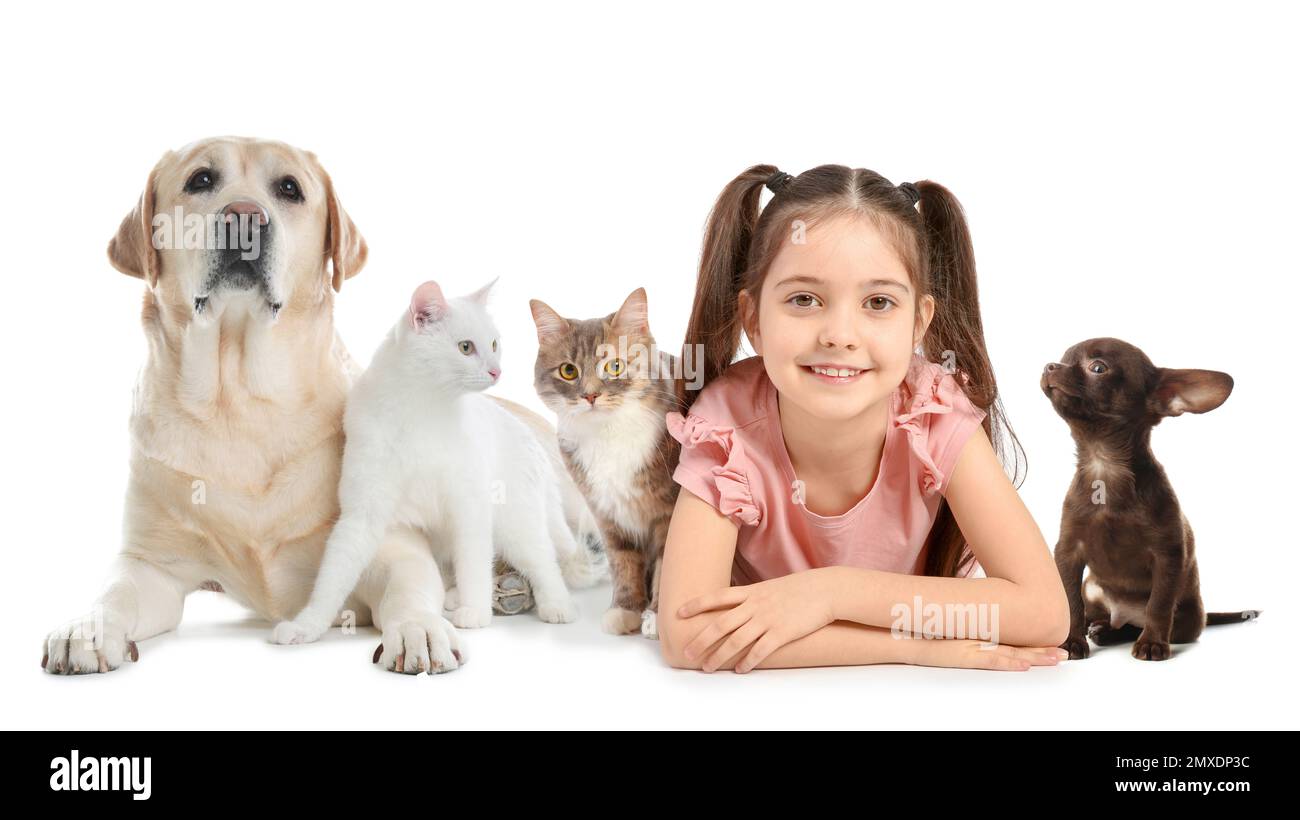 Cute little girl with her pets on white background. Banner design Stock ...