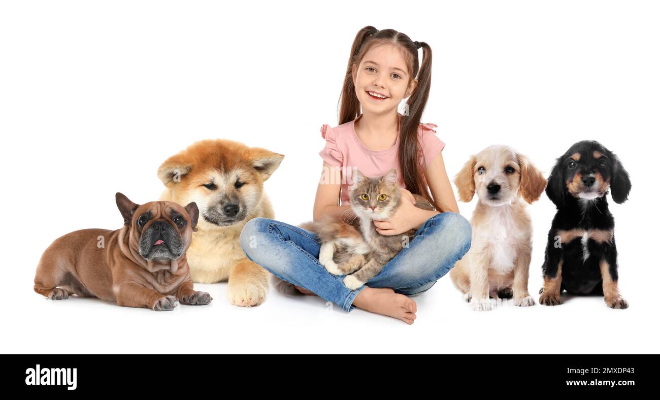 Cute little girl with her pets on white background. Banner design Stock ...