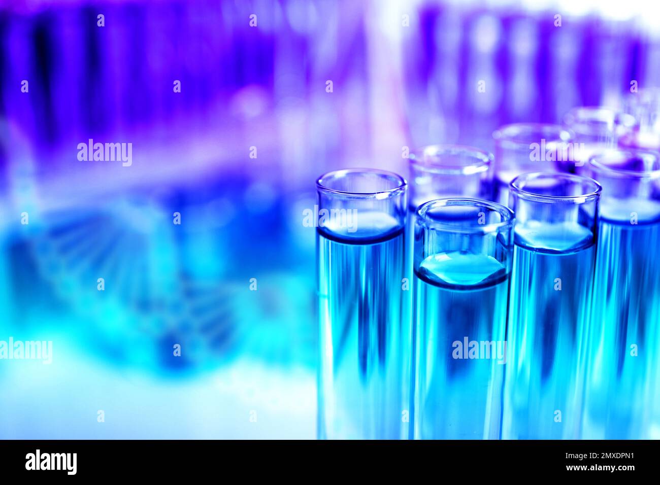 Test tubes with liquid samples for analysis in laboratory, closeup ...