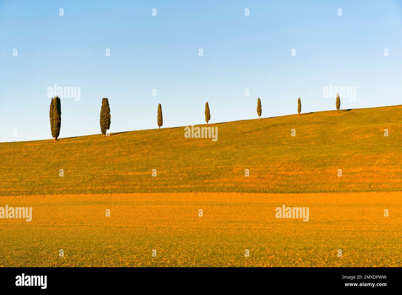 In the south of the Gers department in southern France, the landscape ...