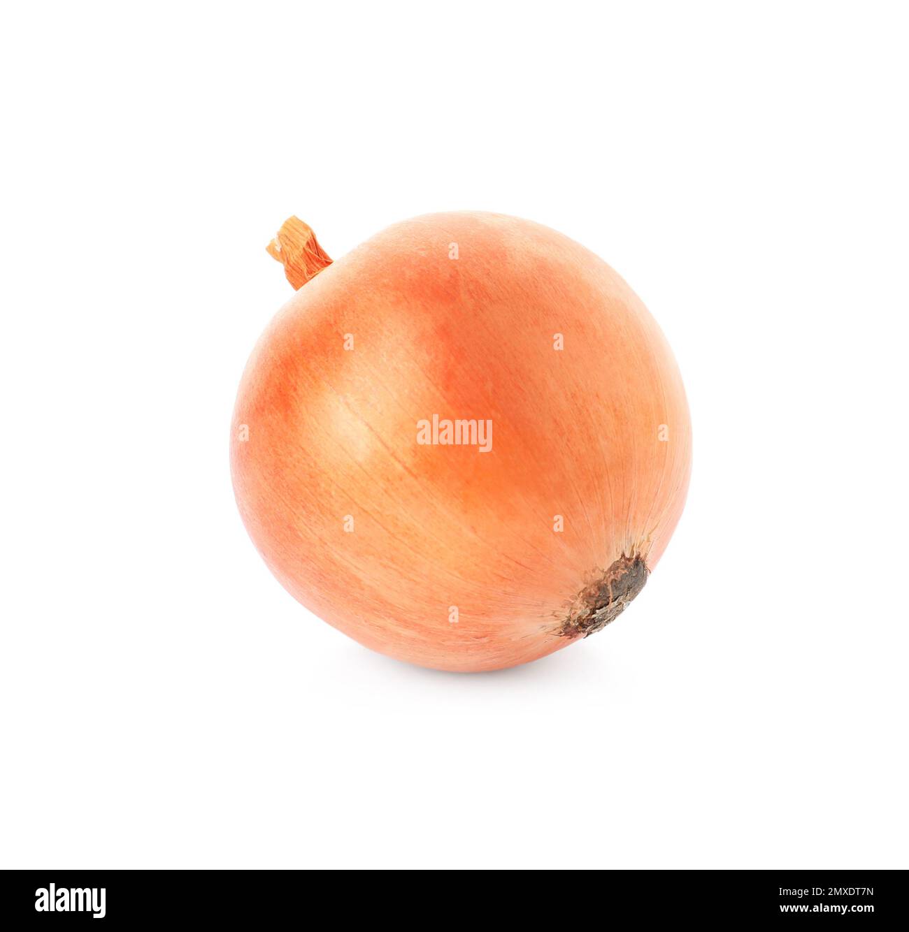 Fresh yellow onion bulb isolated on white Stock Photo - Alamy