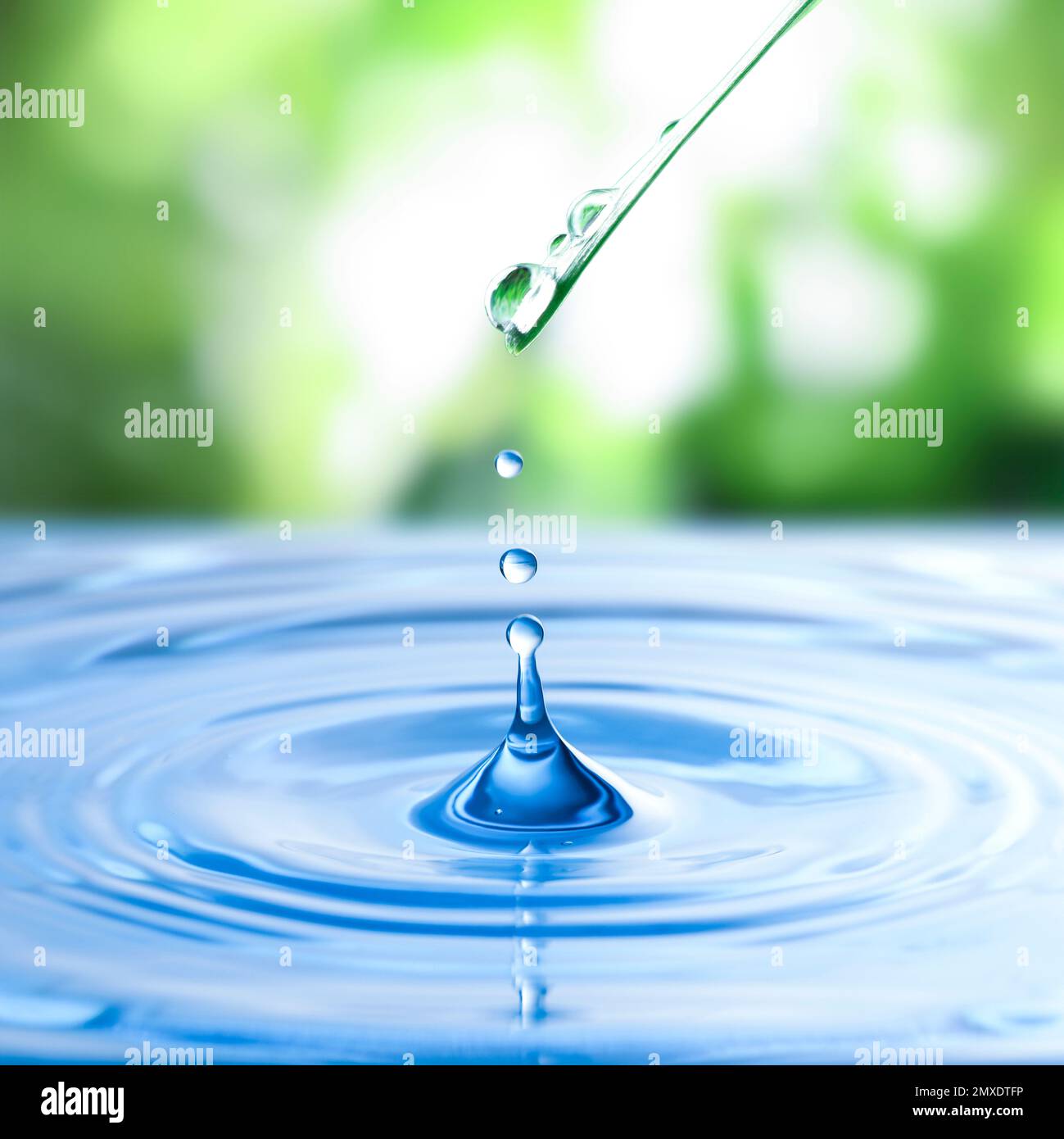 Water drops falling from grass blade into water on sunny day, closeup ...